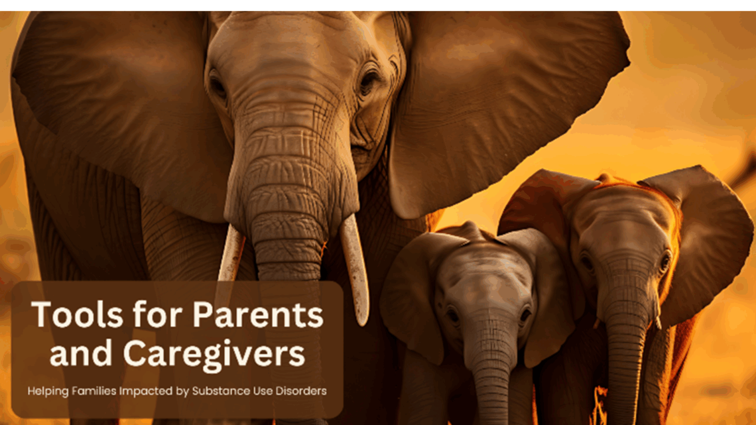 Tools for Parents and Caregivers: Helping Families Impacted by ...